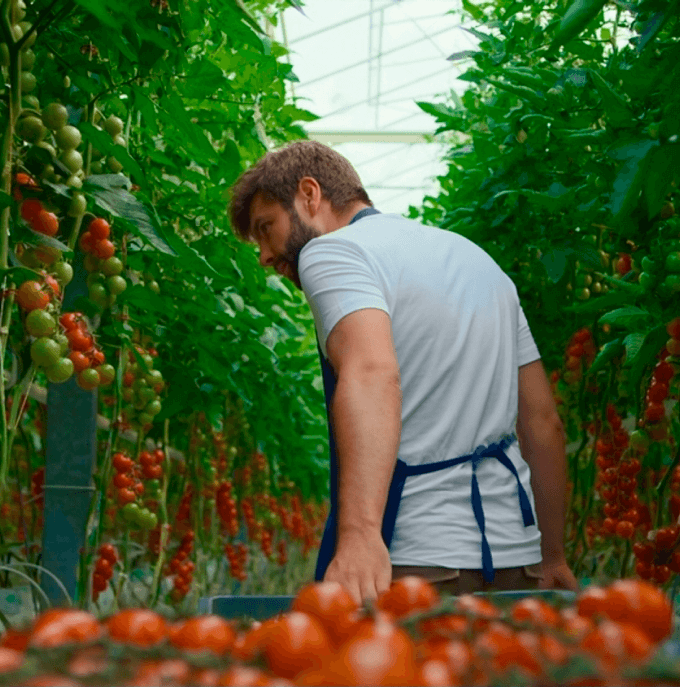 Make your plants grow bigger faster - with technology from 2Grow